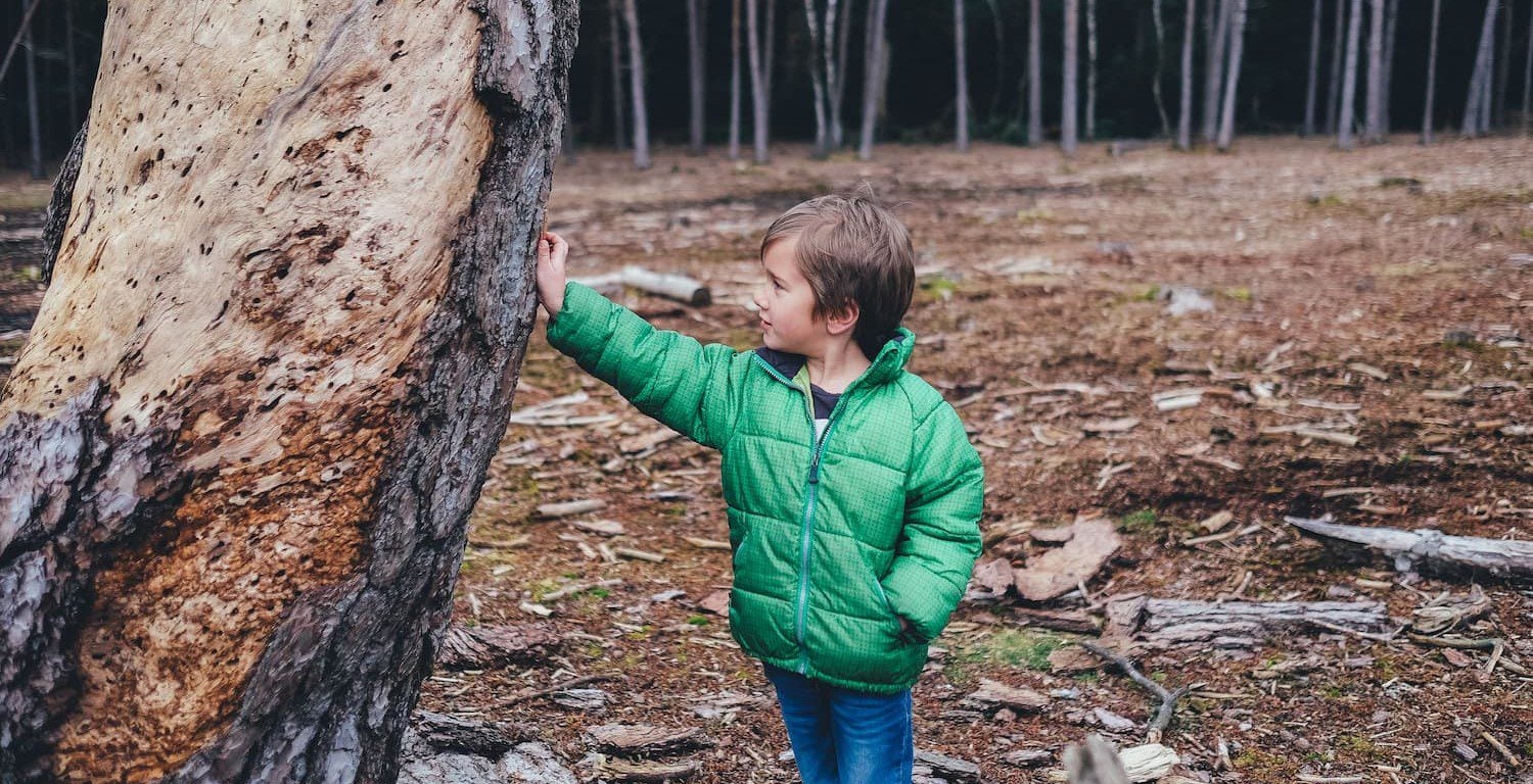 A Guiding Hand Through West Bend's Child Support Process | Sterling ...